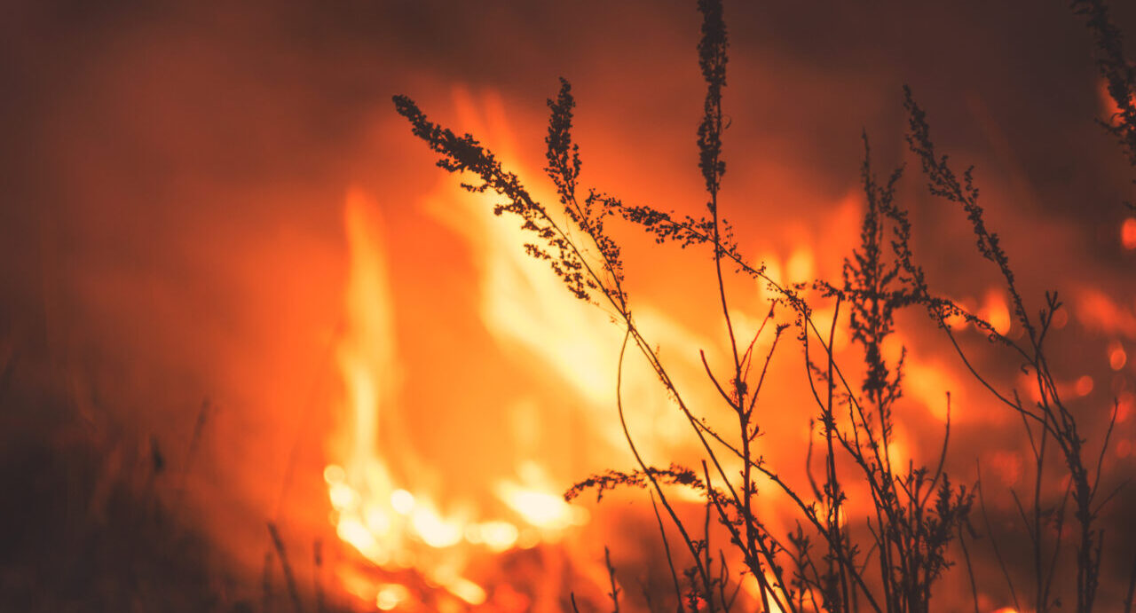 Wildfire Information - Travis County Emergency Services District 10